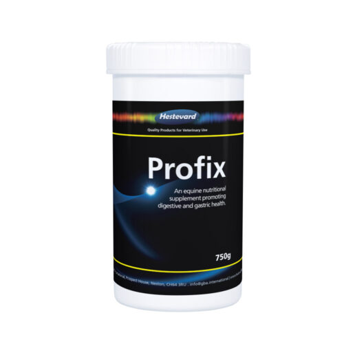 Hesteflex 60 Sachet Box | Clarendon Equine